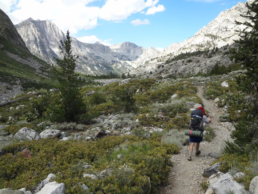 The Future of Wilderness | Applied Ecology