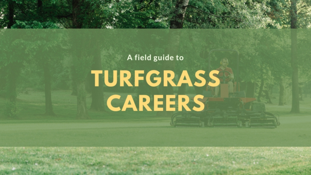 Turfgrass Career Day Toolkit | Crop and Soil Sciences