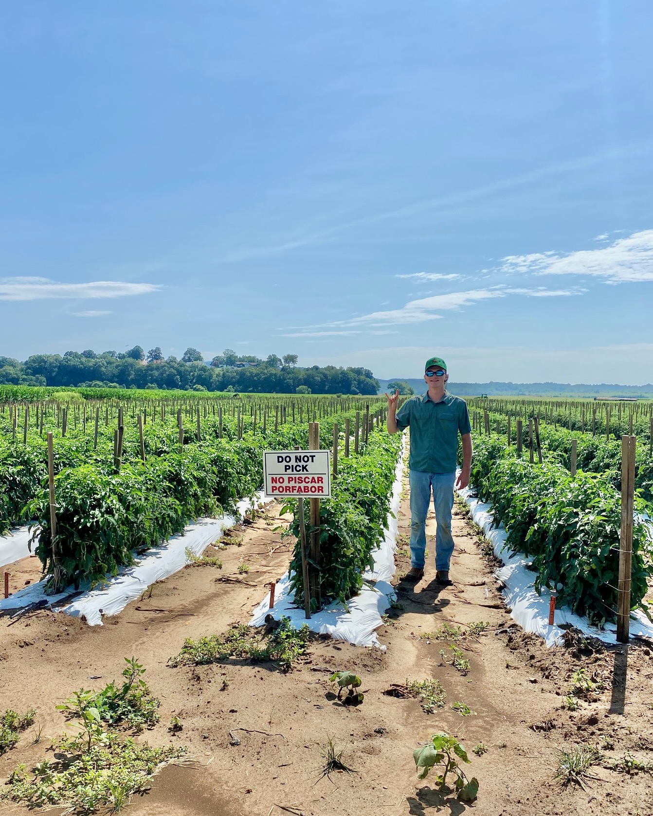 Connecting Field and Lab with an Eye Toward Extension | N.C. Plant ...