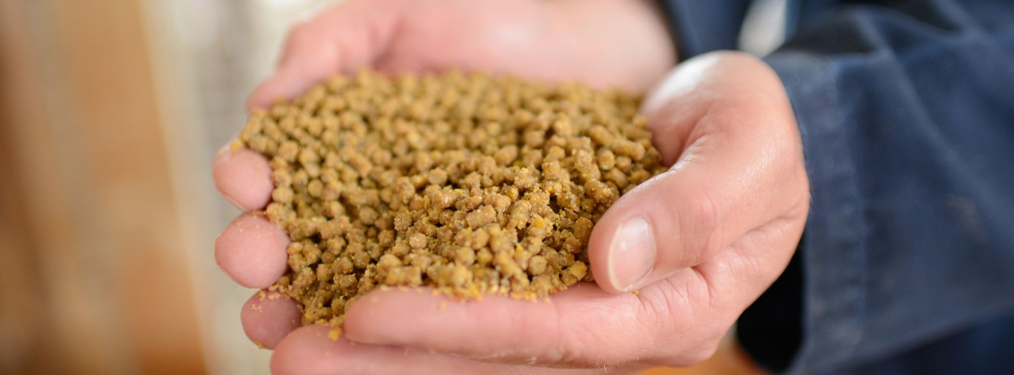 CALS, Premex Build Synergistic Relationship | College of Agriculture ...