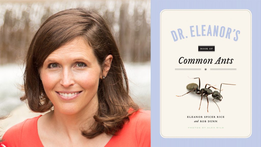 CALS Book Club: Explore The Secret World Of Insects - College of ...