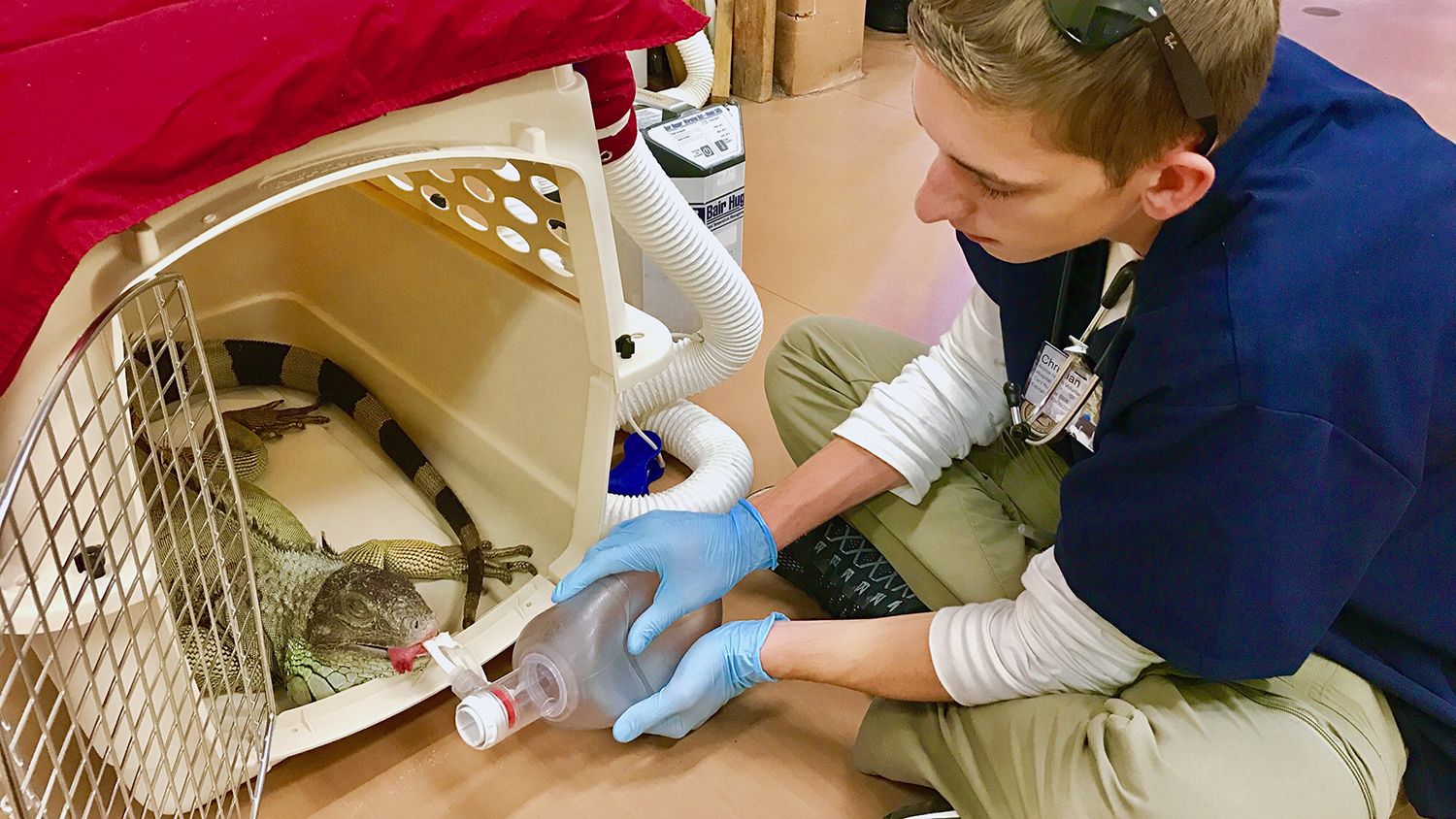 Student Spotlight: Christian Capobianco Interns At The Zoo | College of ...