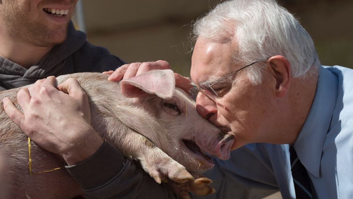 I Am CALS: Bob Patterson's 50 Years On Campus (And Counting) - College ...