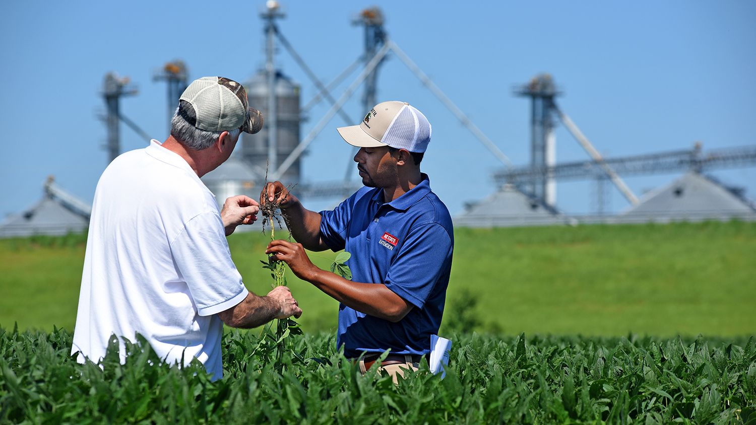 Gaining Ground - College of Agriculture and Life Sciences