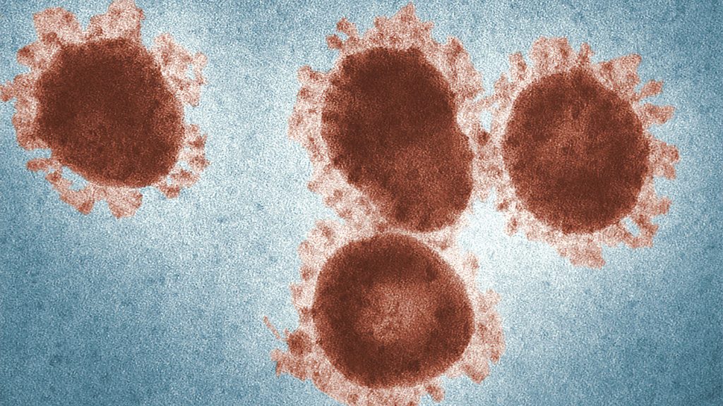 Study Yields Recommendations to Prevent Outbreaks from Waterborne ...