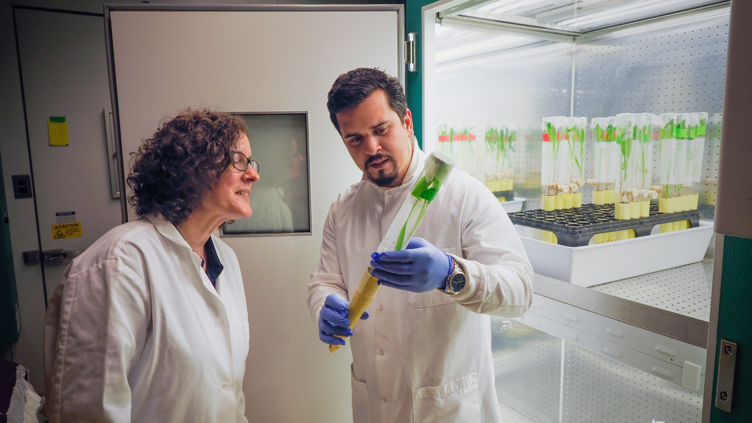 A Journey from a Small Farm to Groundbreaking Scientific Research ...