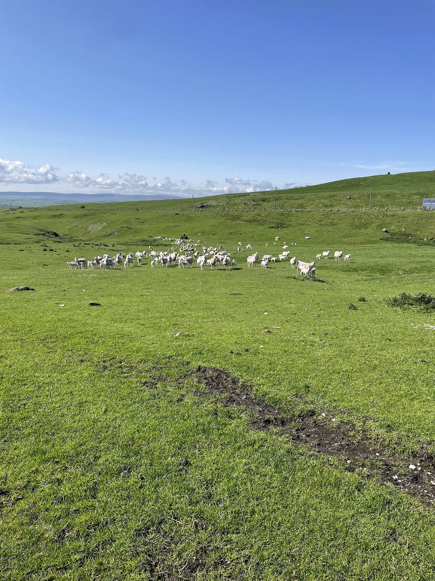 Third-Generation Beekeeper Explores Irish Agricultural Practices ...