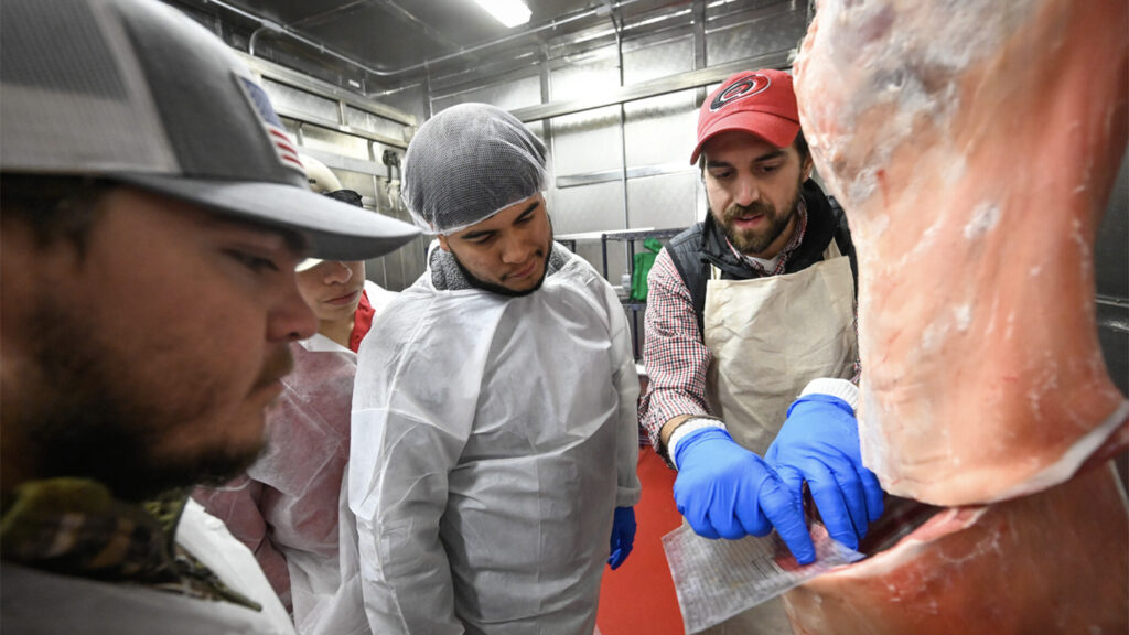 Meat Processing: Educating the Next Generation