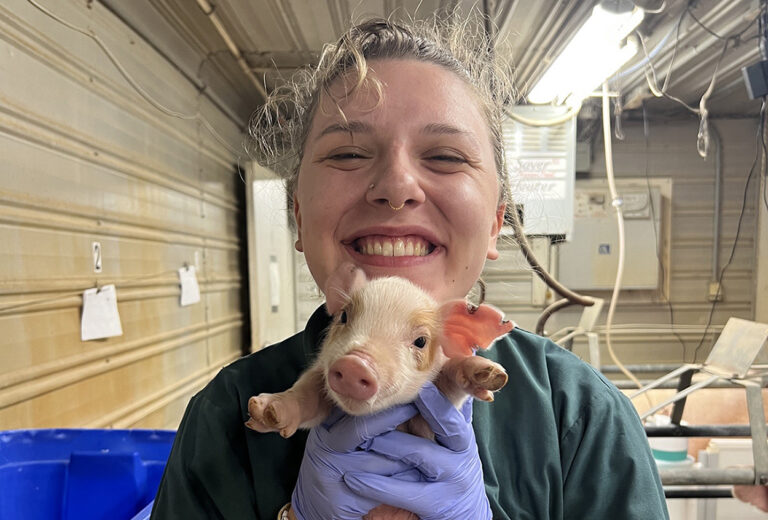 Real-Life Research Unlocks New Possibilities for Animal Science Major ...