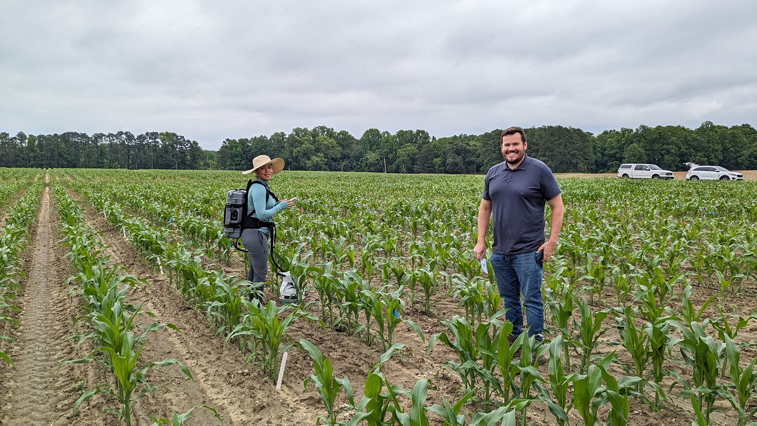 Optimizing Corn Production for Greater Efficiency | College of ...
